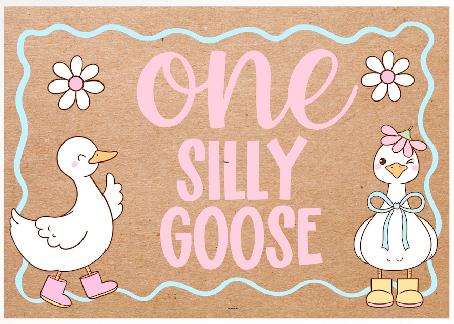 ONE SILLY GOOSE PAINTED BANNER - Hip Hip Array